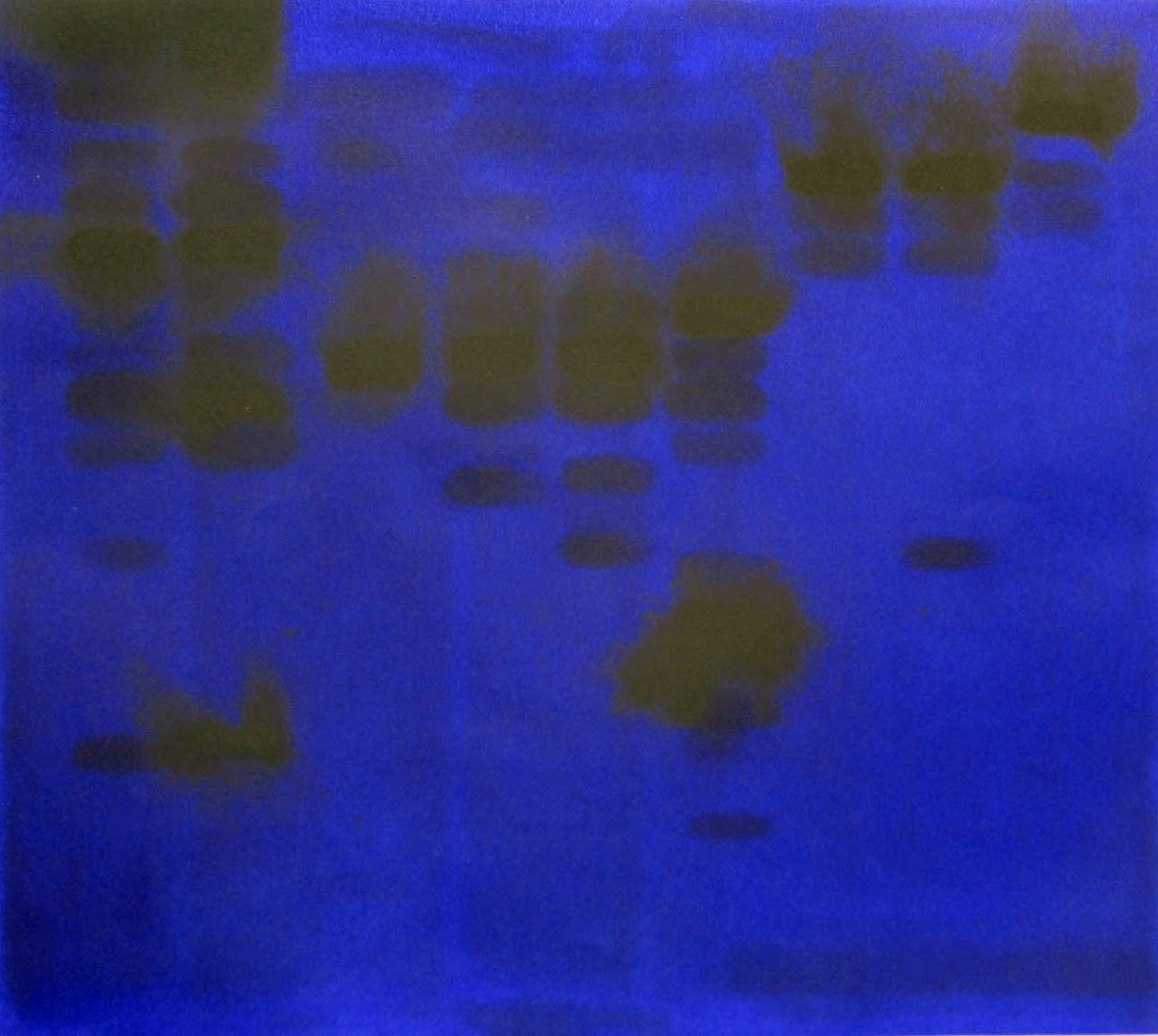 Dennis Ashbaugh • Wingate Studio