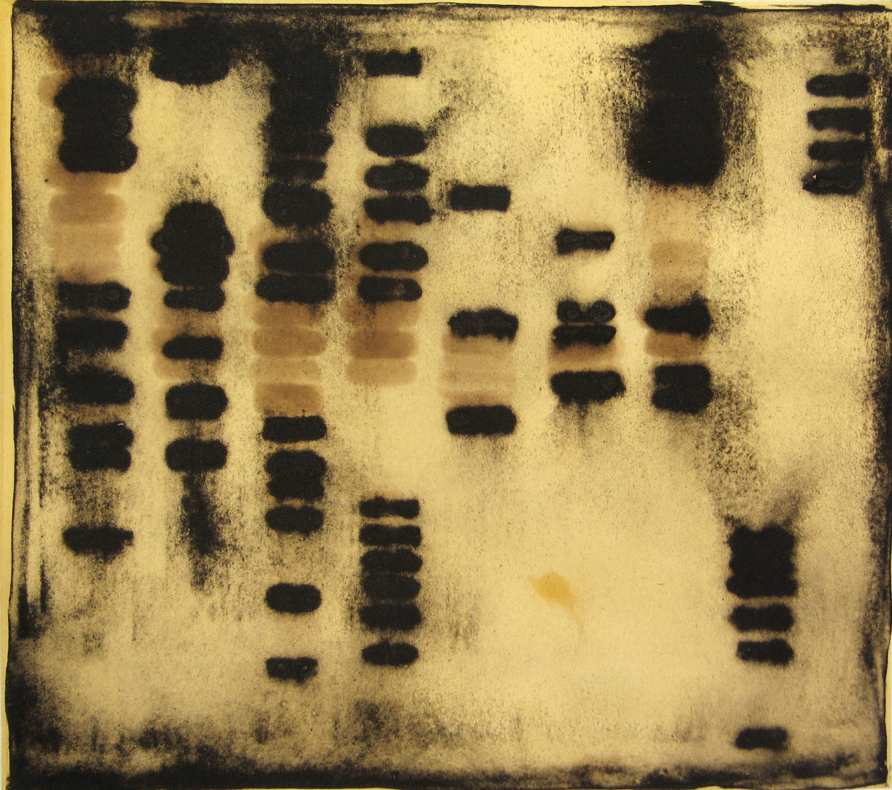 Dennis Ashbaugh • Wingate Studio