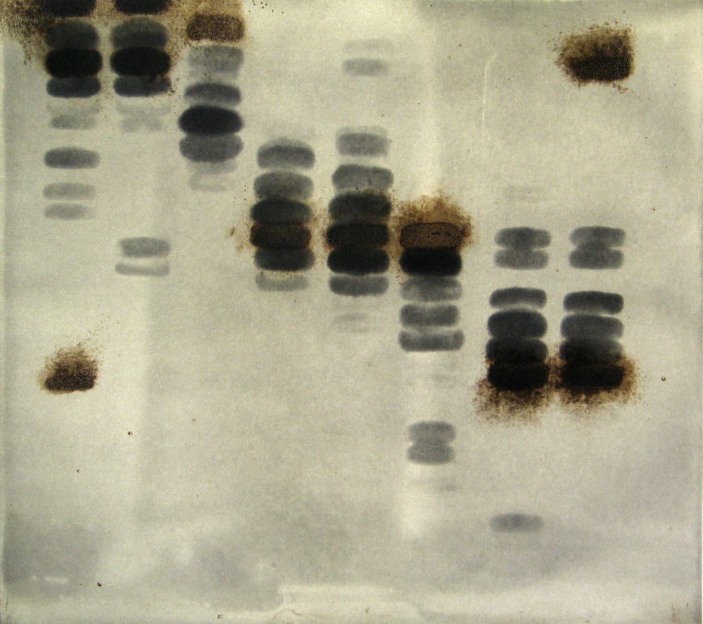 Dennis Ashbaugh • Wingate Studio