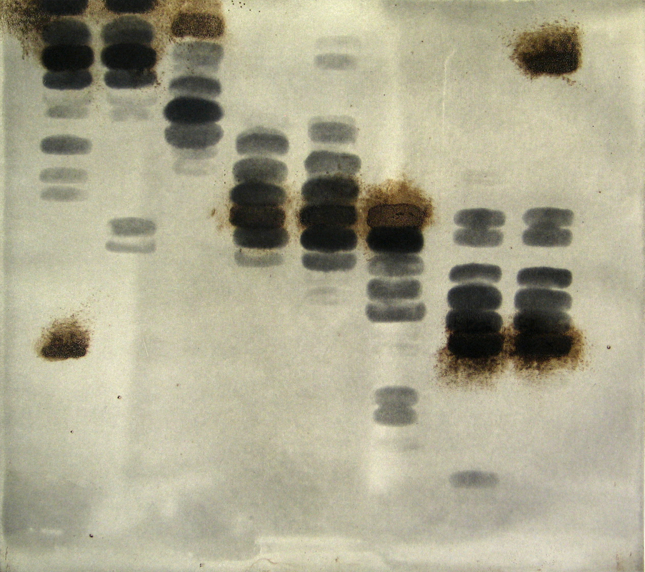 Dennis Ashbaugh • Wingate Studio