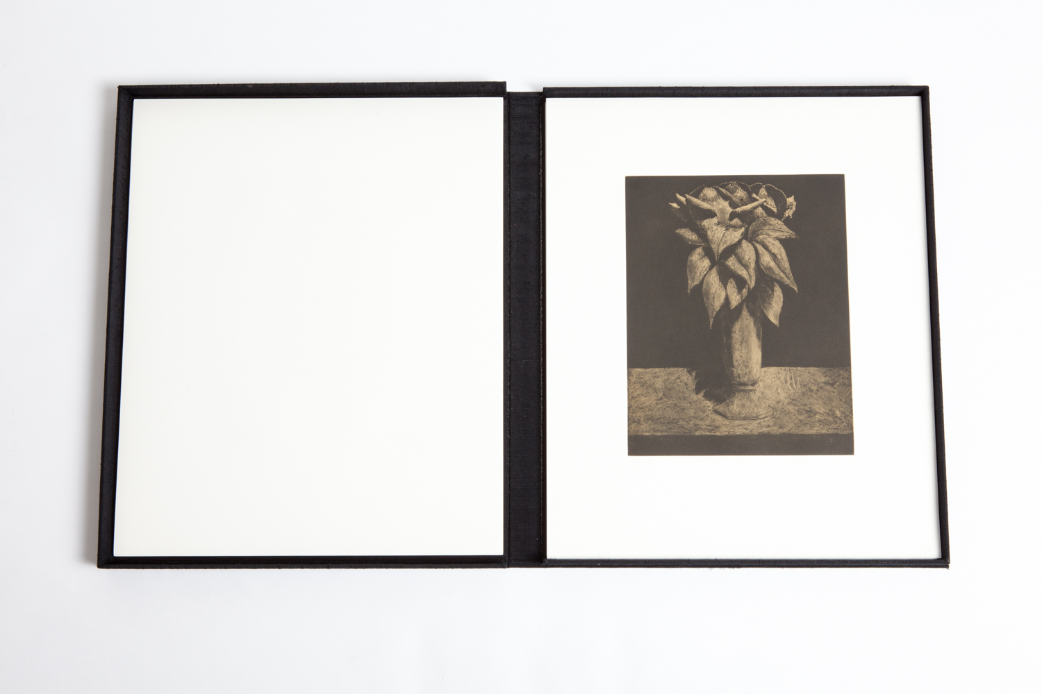 Richard Ryan • Wingate Studio