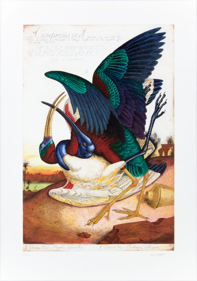 Walton Ford • Wingate Studio