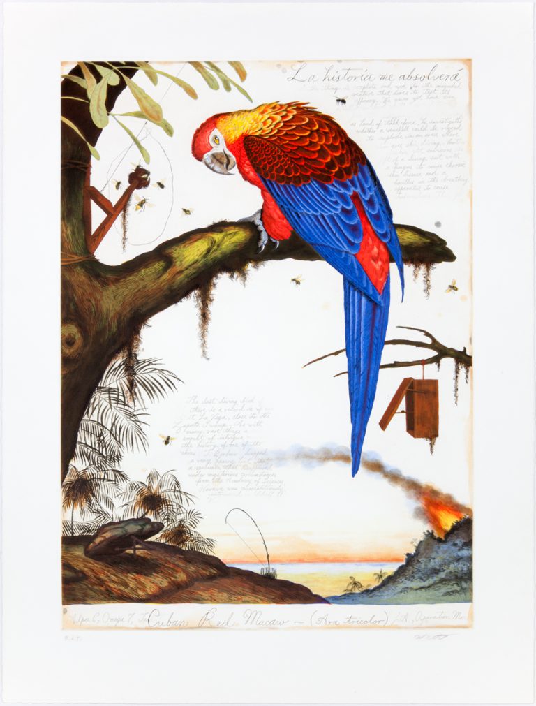 Walton Ford • Wingate Studio